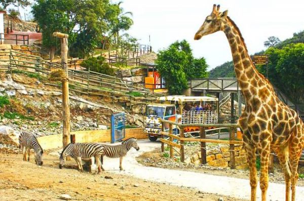 Malaga Theme Parks - Marbesol